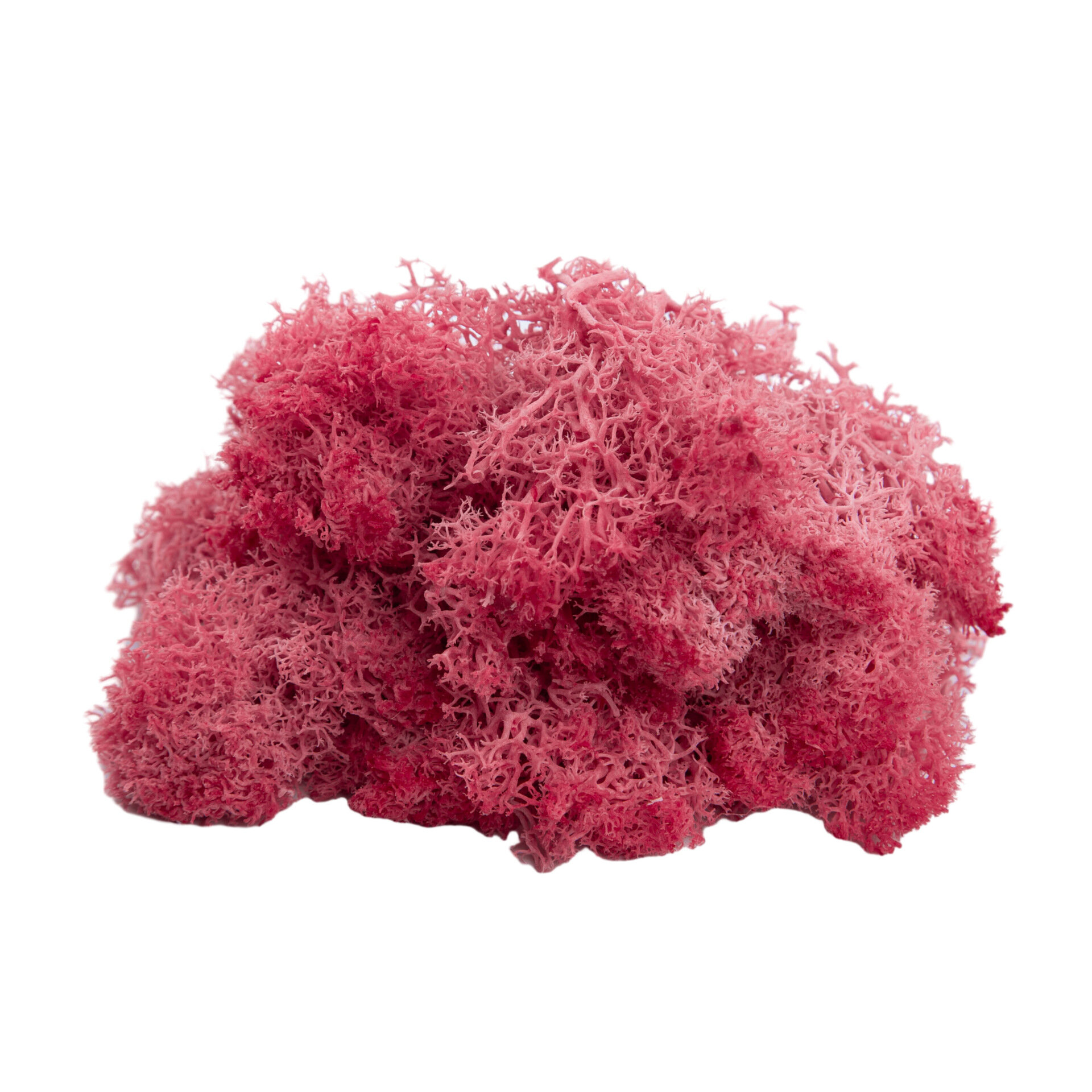 Вечный мох PHILIA, имитация оленьего мха, для украшения, нежно-розового цвета, 500г