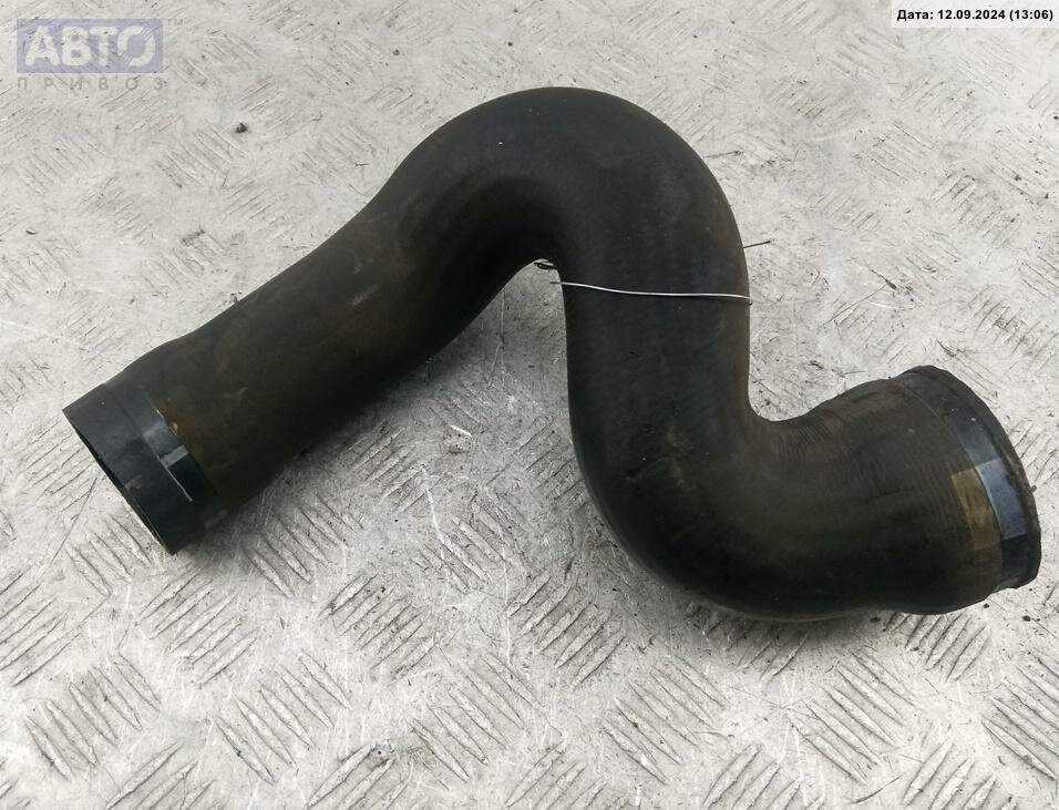 Патрубок интеркулера Volkswagen Passat B5