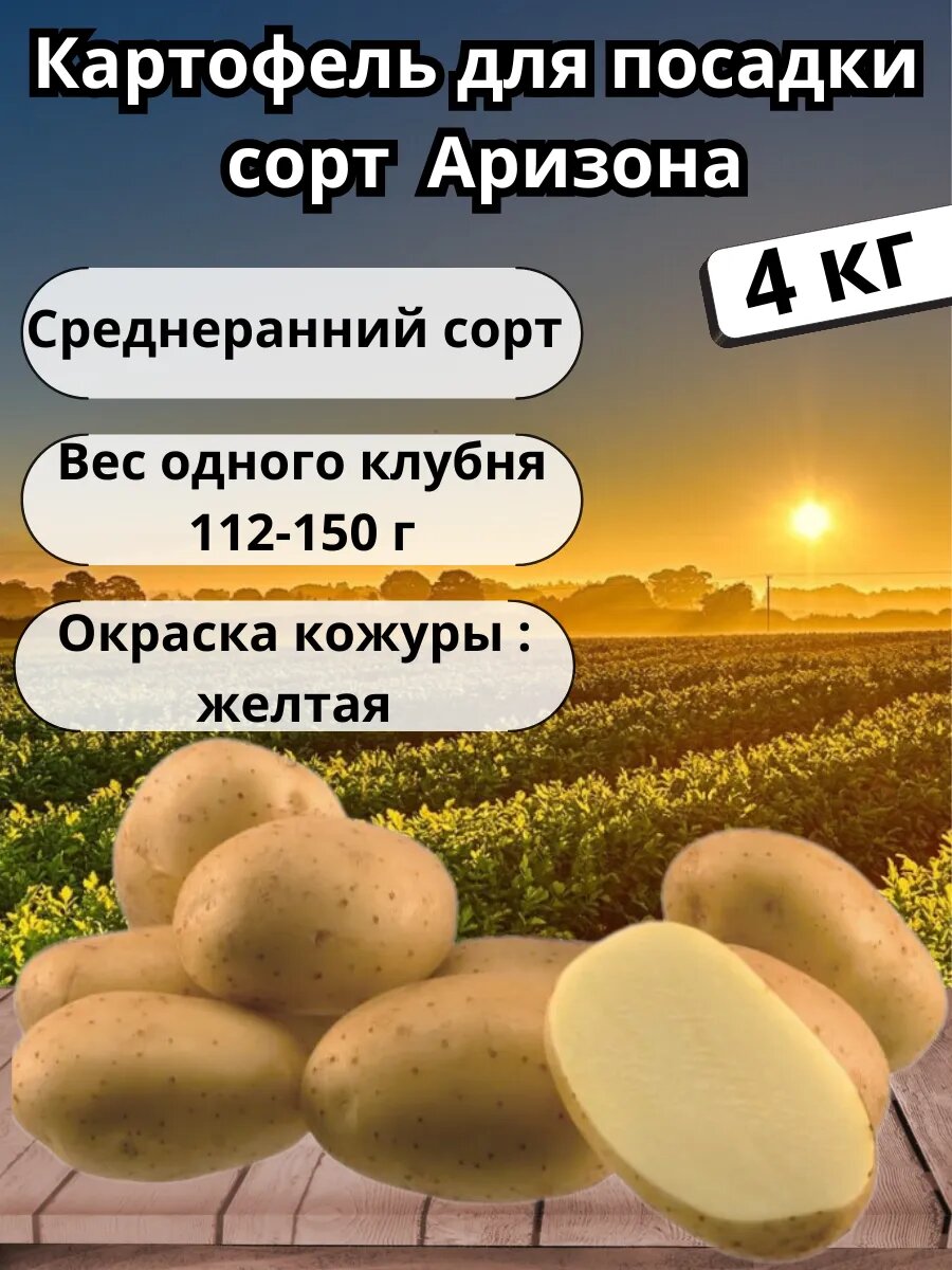 ОгородNIK Картофель семенной "Аризона", сорт среднеранний, 4 кг