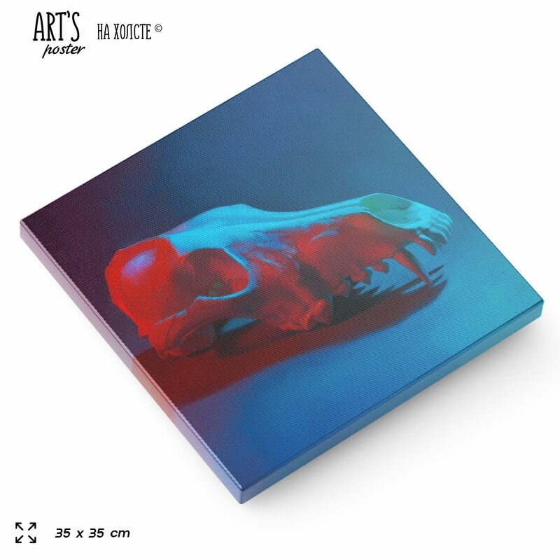 Картина на стену, Череп, 35х35 см, холст с печатью на подрамнике, интерьерная, SilverPlane