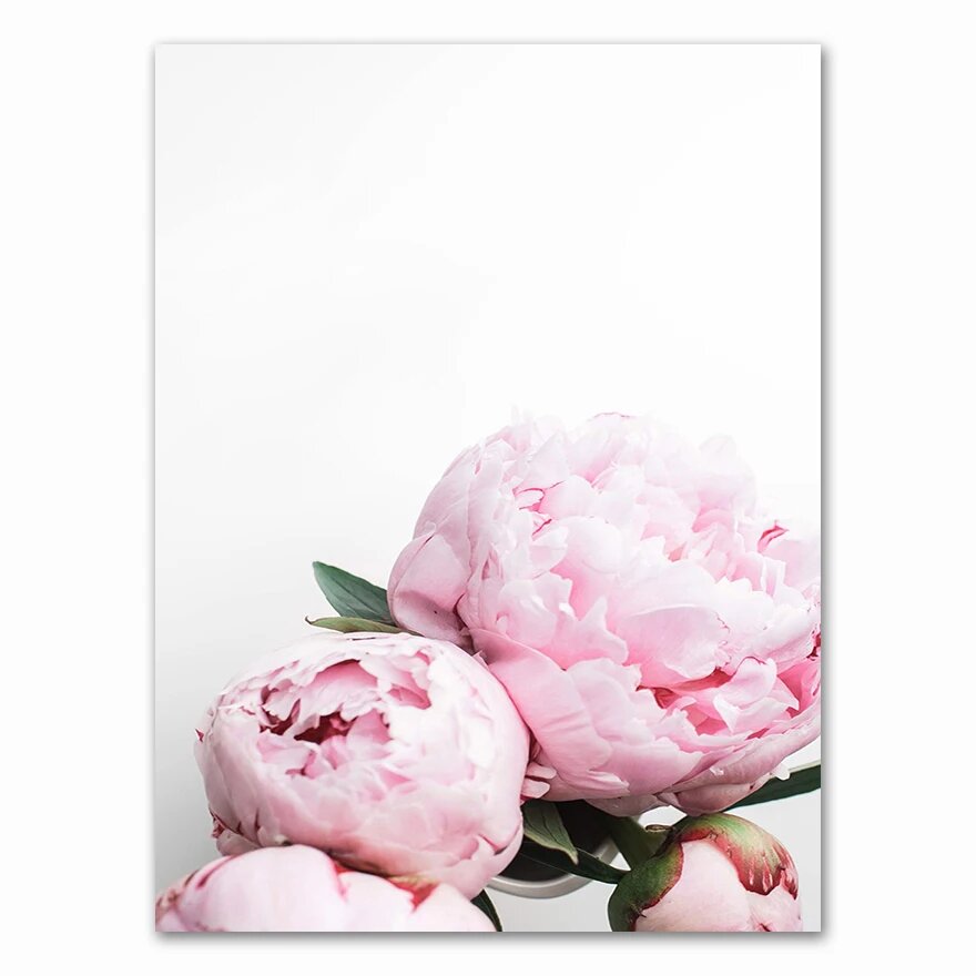 Картина на холсте AliPaint Печать с изображением пиона 0541-06, 20x25cm No Frame
