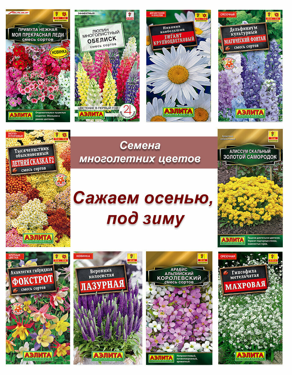 Семена многолетников, набор семян многолетних цветов