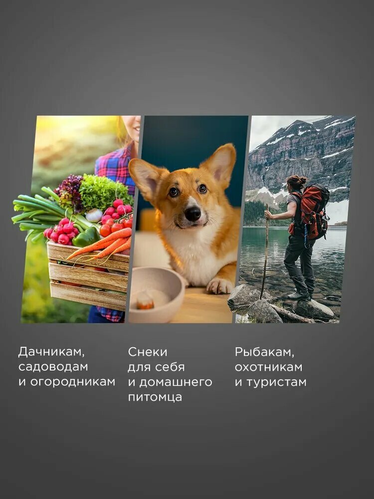 Дегидратор — фото 1