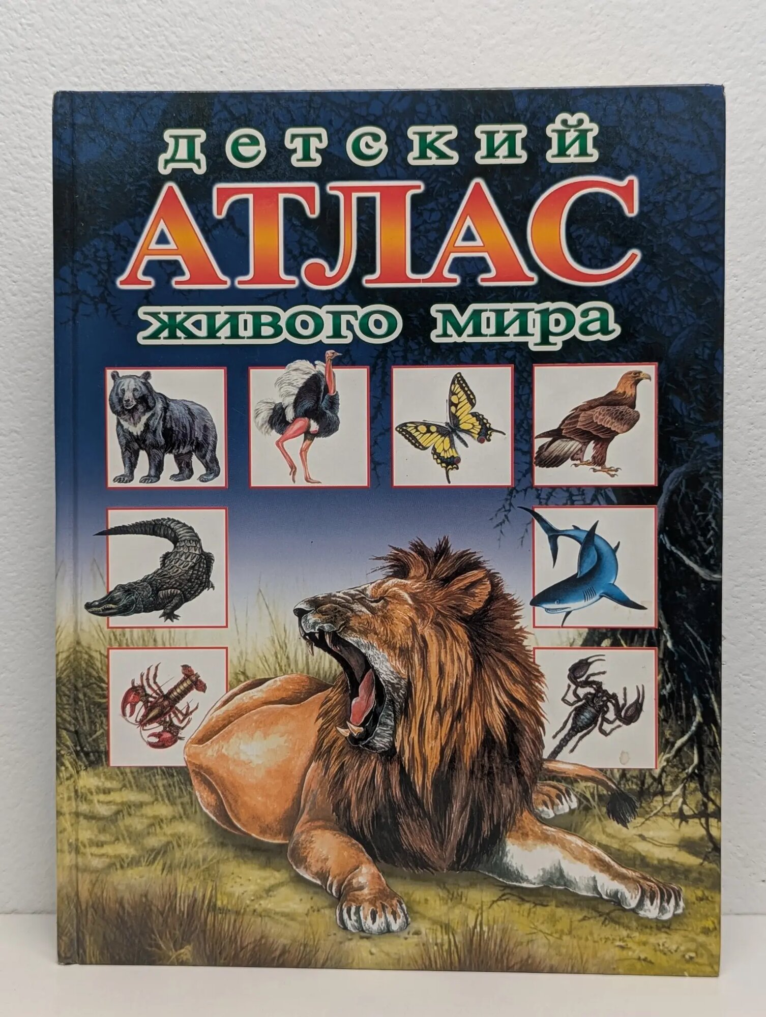 Детский атлас живого мира Сборник 2003