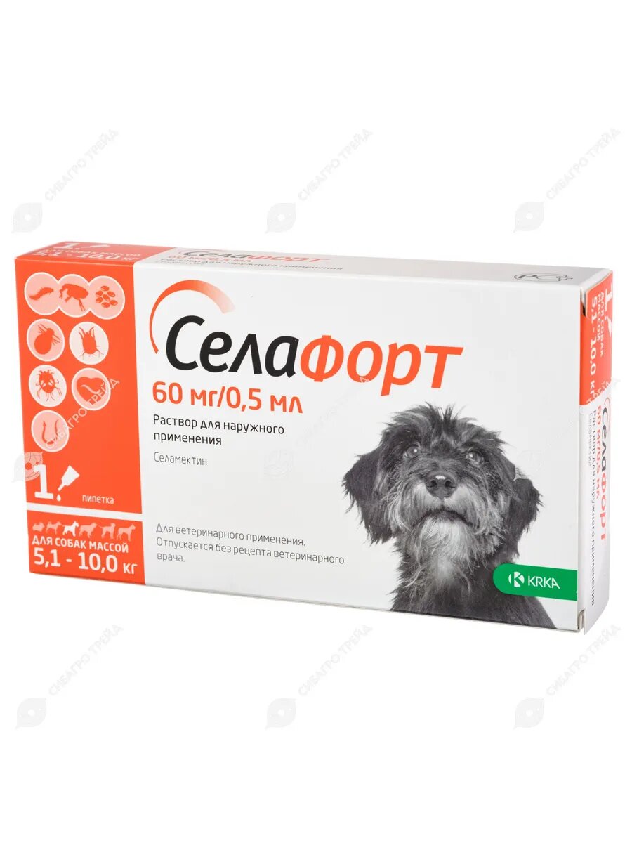 Селафорт капли для собак 5,1 - 10 кг, 1 пипетка