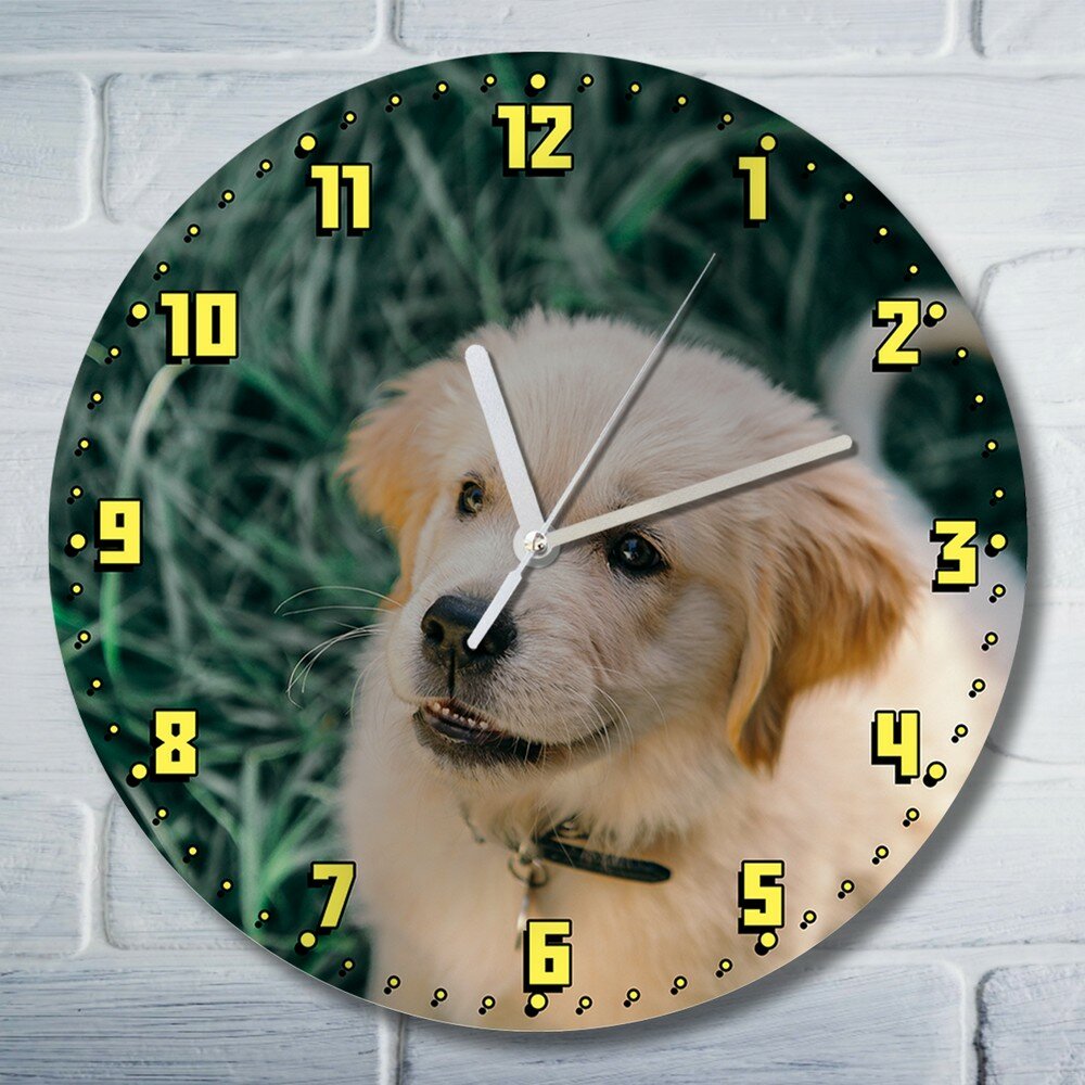 Настенные часы УФ "Животные Щенок ( Собака, цветы, ретвивер, милота, Подарок для мамы, бабушки сестры, подруге) -9163"