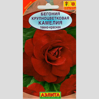 Семена Бегония Камелия Темно-Красная крупноцветковая клубневая махровая 10шт Одн Комн 35см (Аэлита)