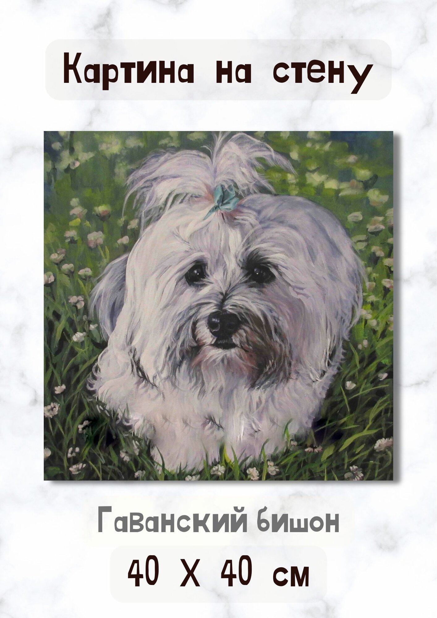 Картина "Гаванский бишон" на холсте в рисованном стиле с маленькой собакой 40х40