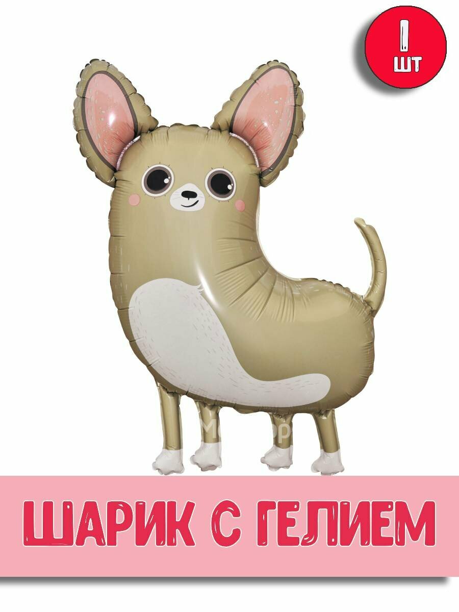 Воздушный фольгированный шар Чихуа Хуа 1шт