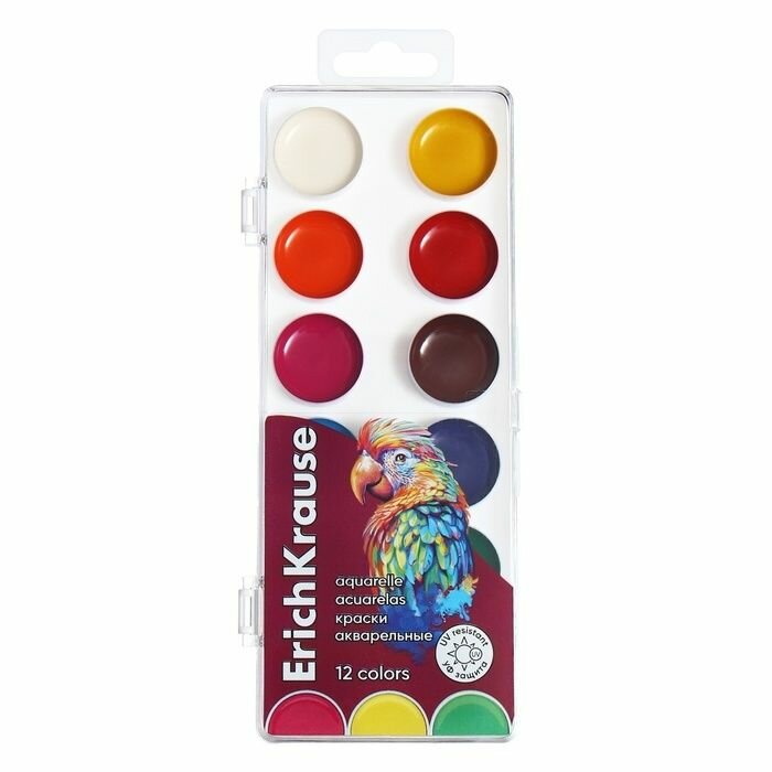 Краски акварельные Erich Krause 12 цветов "Safari", с УФ защитой яркости, в коробке (61377)