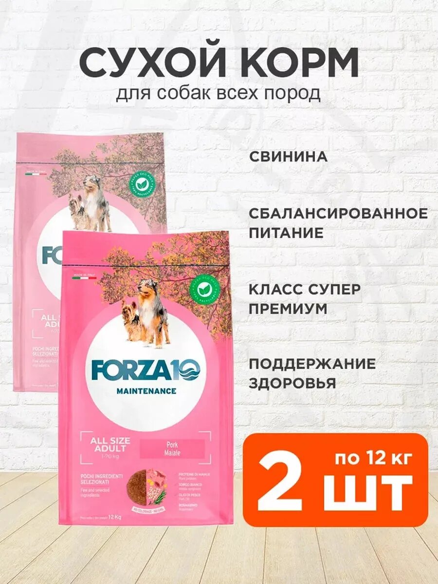 Корм сухой Forza10 Dog Maintenance Adult All Size для взрослых собак всех пород со свининой, 12 кг х 2 шт