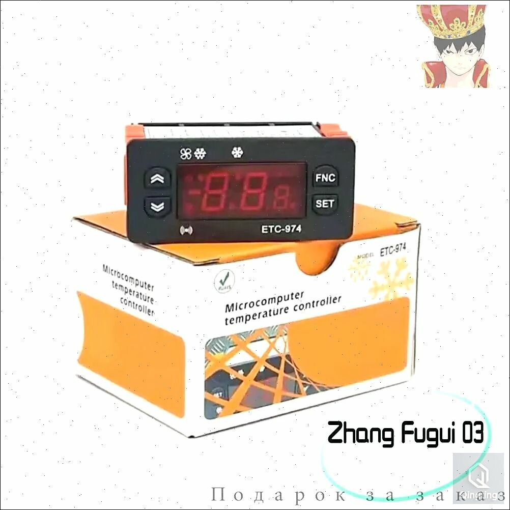 Температурный контроллер ETC-974 холодильный холодильник с двумя сенсорными проводами охлаждения