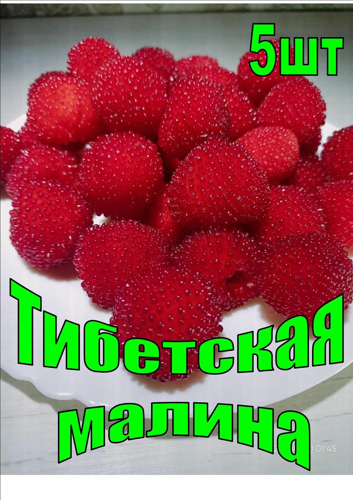 Саженцы Тибетская малина