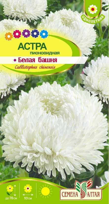 Семена астры Семена Алтая "Белая Башня", однолетние, высота до 70 см