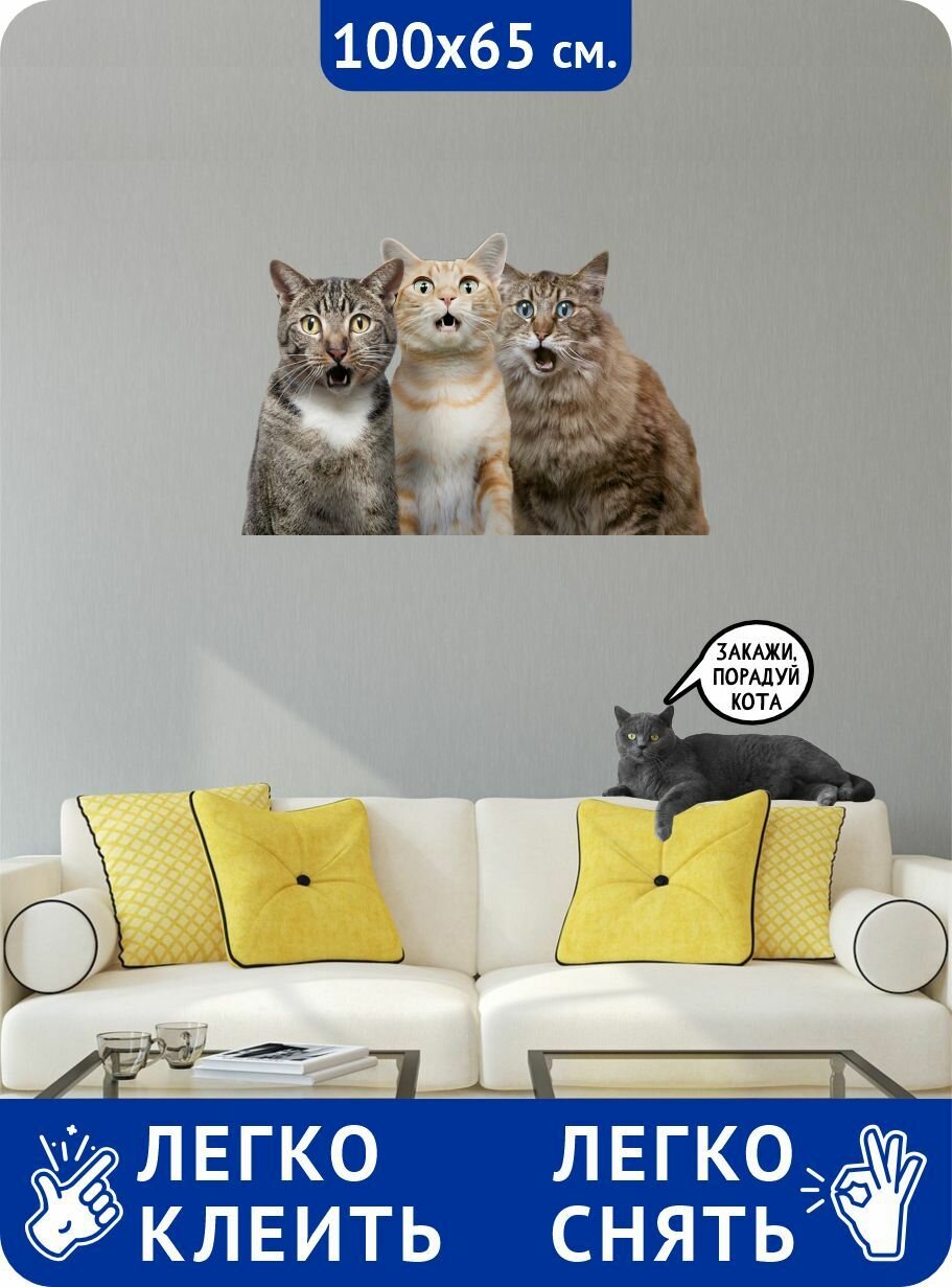 Наклейки на стену для декора - Милые животные, котик