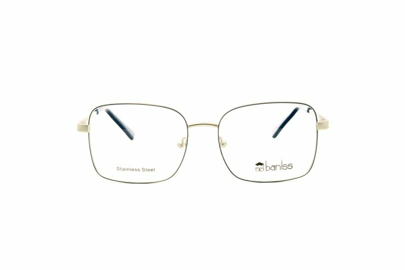 Детская оправа для очков BANISS JUNIOR BR5079 02