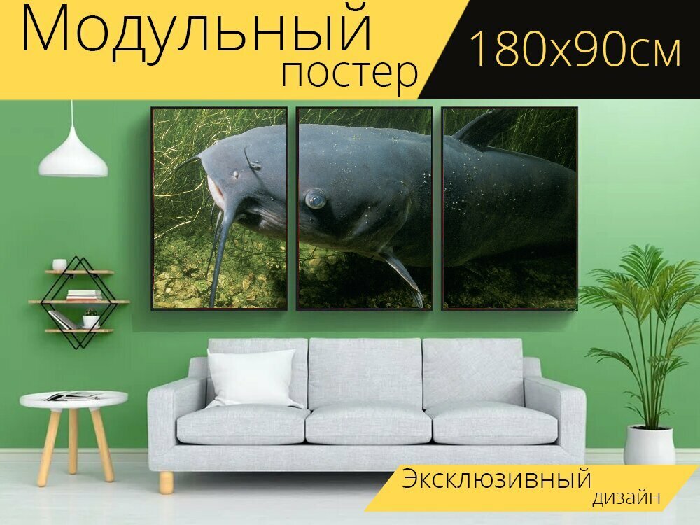 Модульный постер "Канальный сом, река, озеро" 180 x 90 см. для интерьера