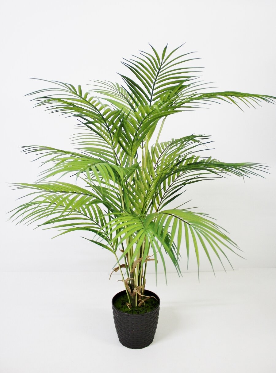 Пальма в кашпо, высота 80 см, бренд CONEKO - декор для дома и офиса
