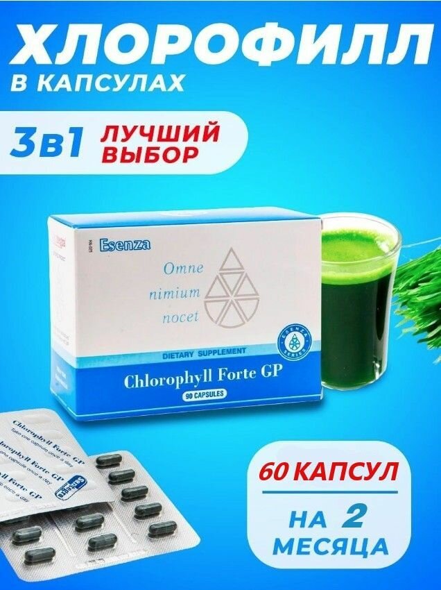 Chlorophyll Forte Santegra(Сантегра), Хлорофилл Форте, природный антисептик, улучшает пищеварение, укрепит иммунитет, жидкий хлорофилл в капсулах 50 мг, 60 капсул на 2 месяца