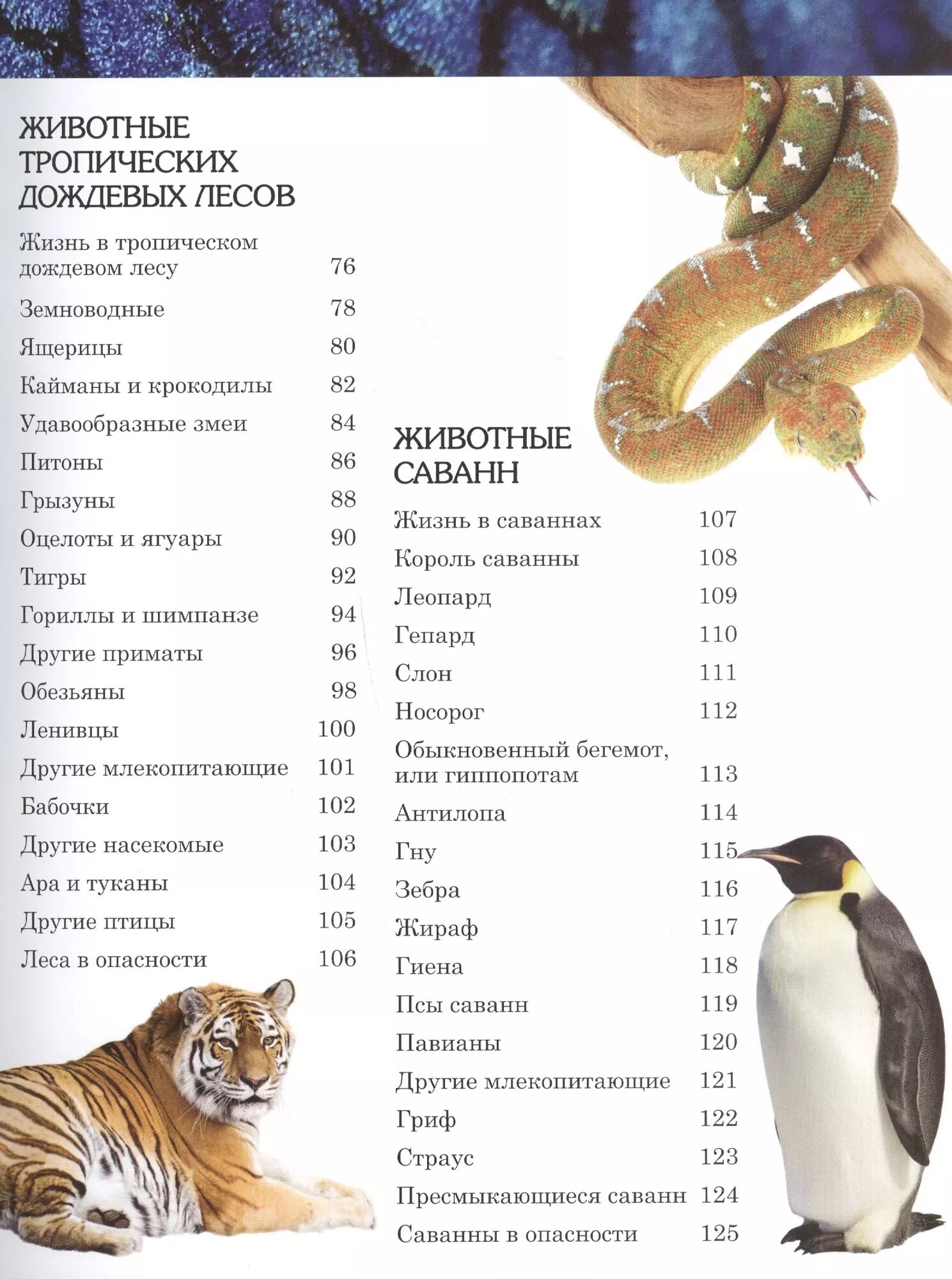 Энциклопедия чудес света