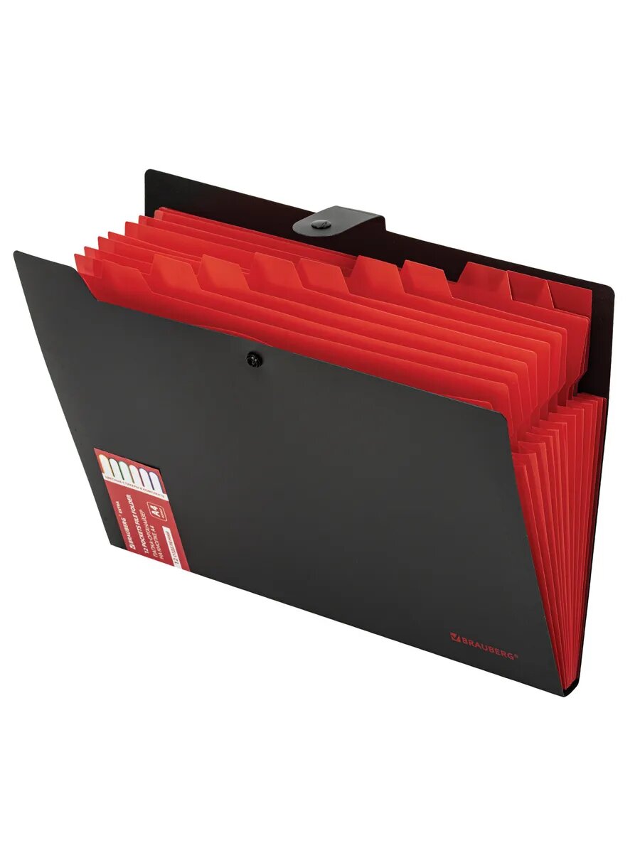 Папка-органайзер на кнопке 12 отделений, А4