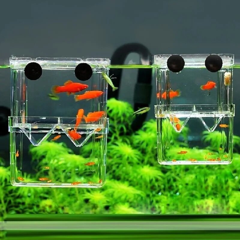 Аквариумный бокс для разведения рыб 7.9x11x7cm