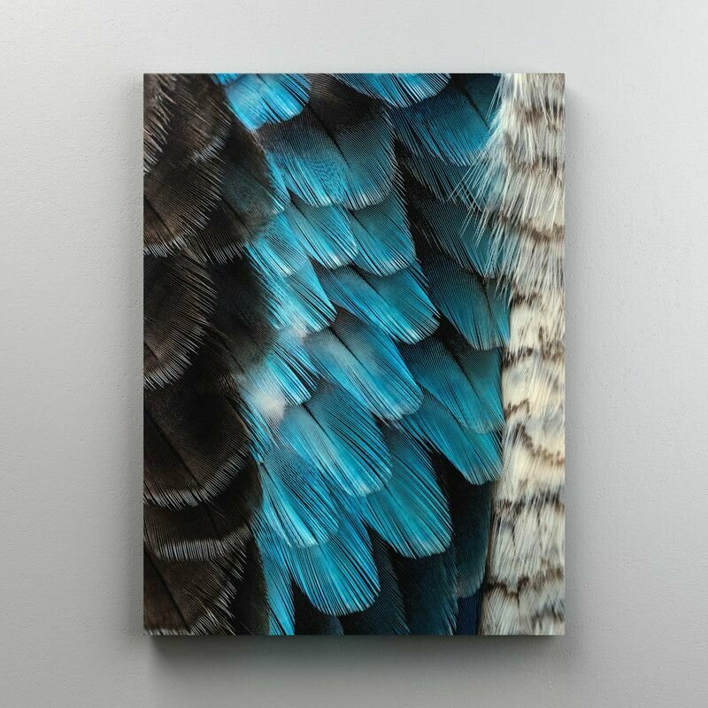 Интерьерная картина на холсте "Текстура перьев птицы" размер 22x30 см