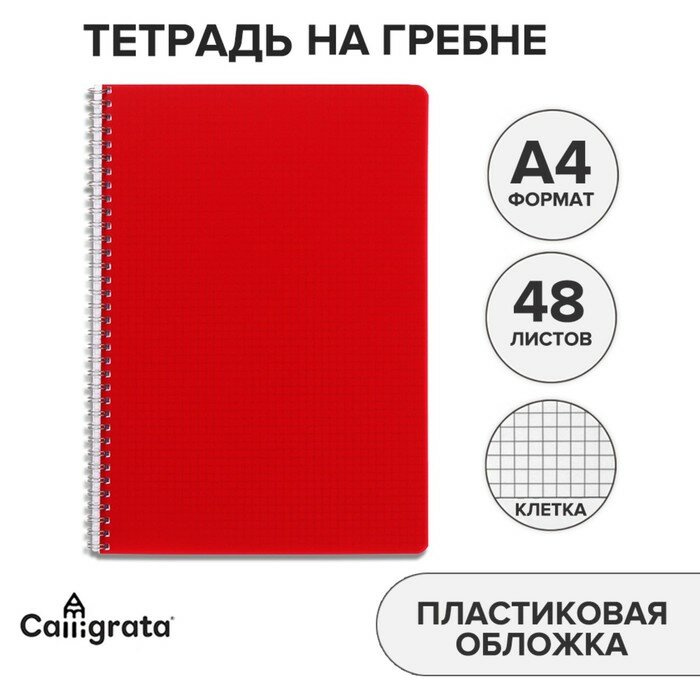 Тетрадь A4 на гребне, 48 листов в клетку, Calligrata, пластиковая обложка, красная