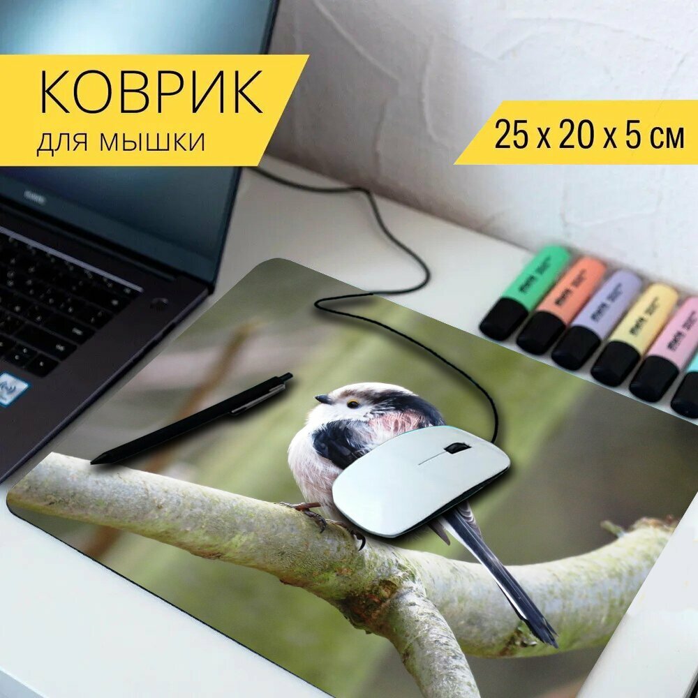 Коврик для мыши с принтом "Длиннохвостая синица, птица, птица воробей" 25x20см.