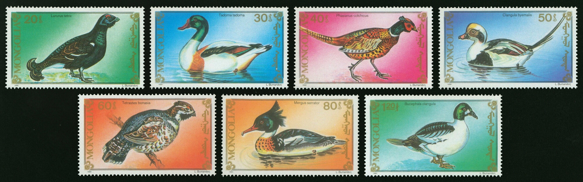 Почтовые марки Монголия 1991г. "Птицы" Птицы MNH