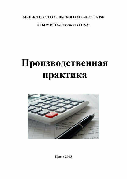 Производственная практика по бухгалтерскому учету [Цифровая книга]