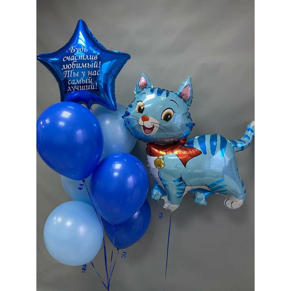 Набор шаров с гелием № 425 - Любимый котенок ( аэродизайн )