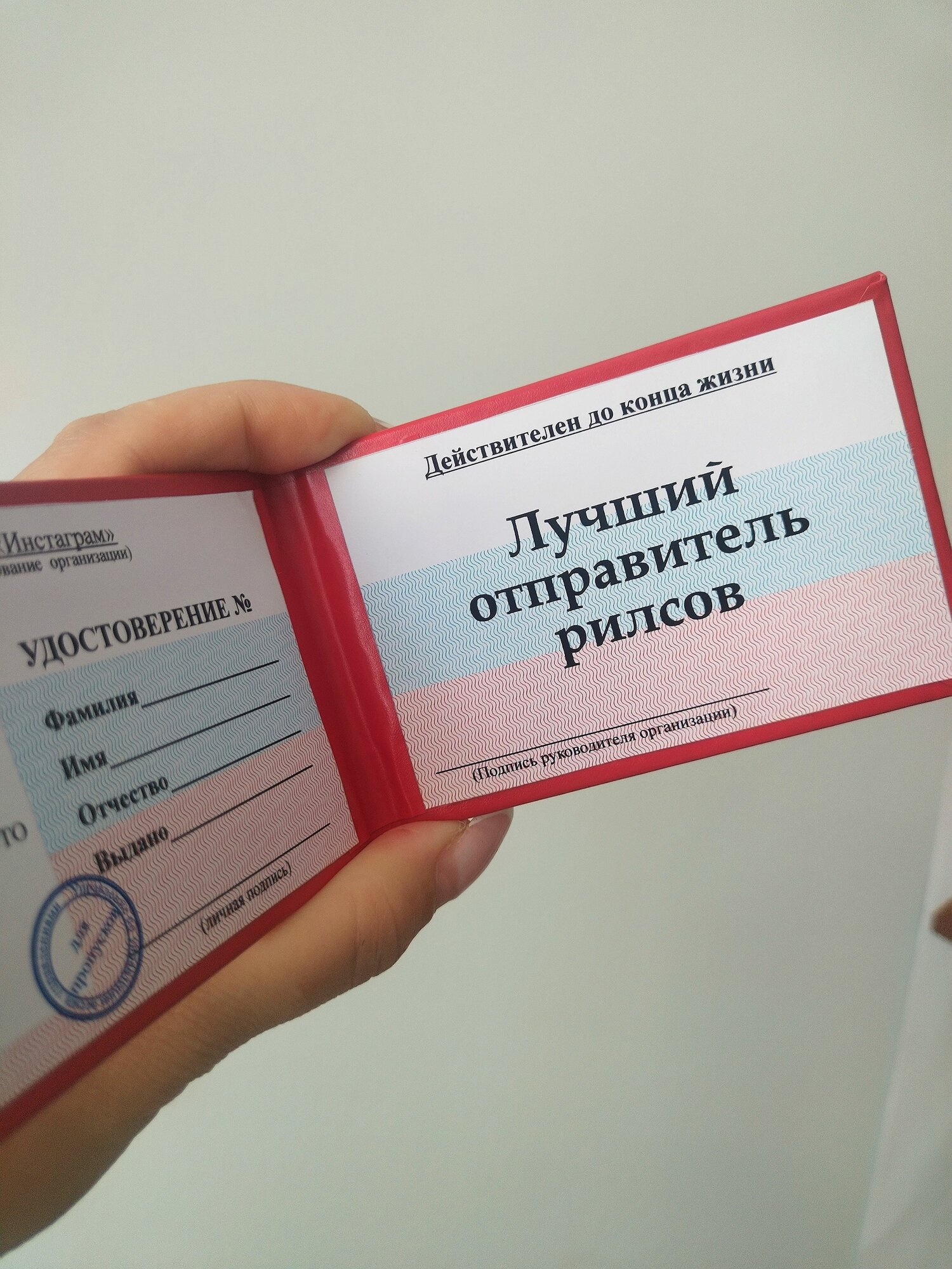 Удостоверение сувенирное ксива Лучший отправитель рилсов