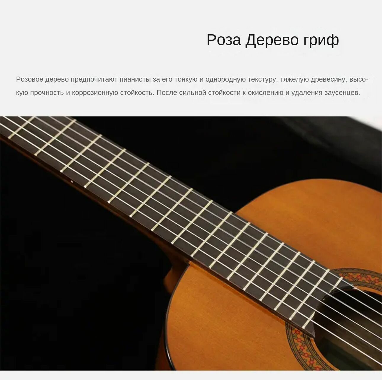 Струнный инструмент — фото 1