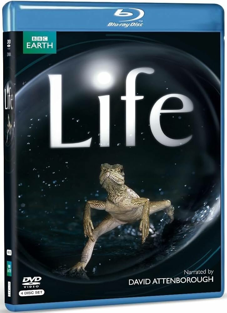 BBC: Жизнь. Части 1-4 (2009) Blu-ray (блю рей)