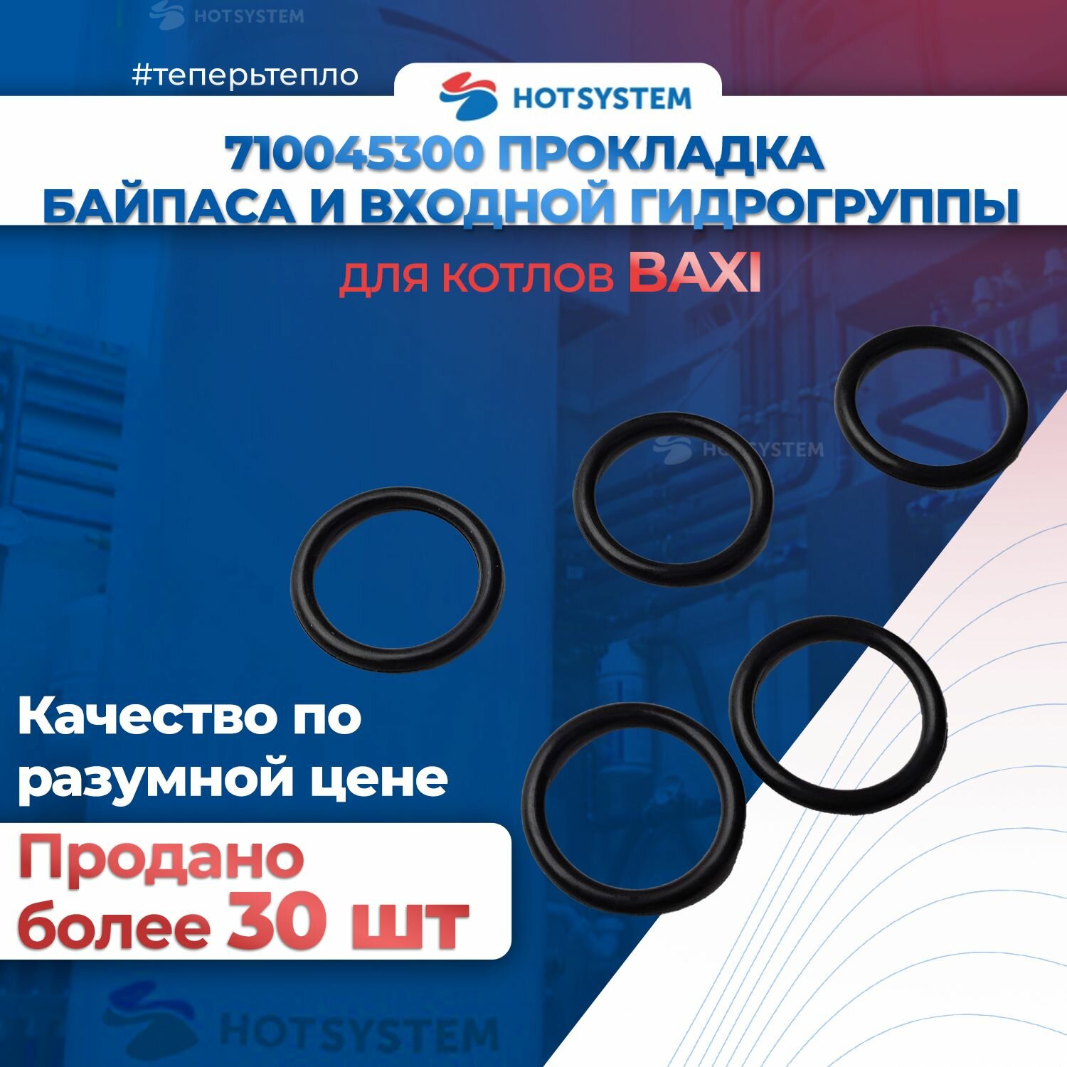 710045300 Прокладка штуцеров входной группы и байпаса для котлов Baxi