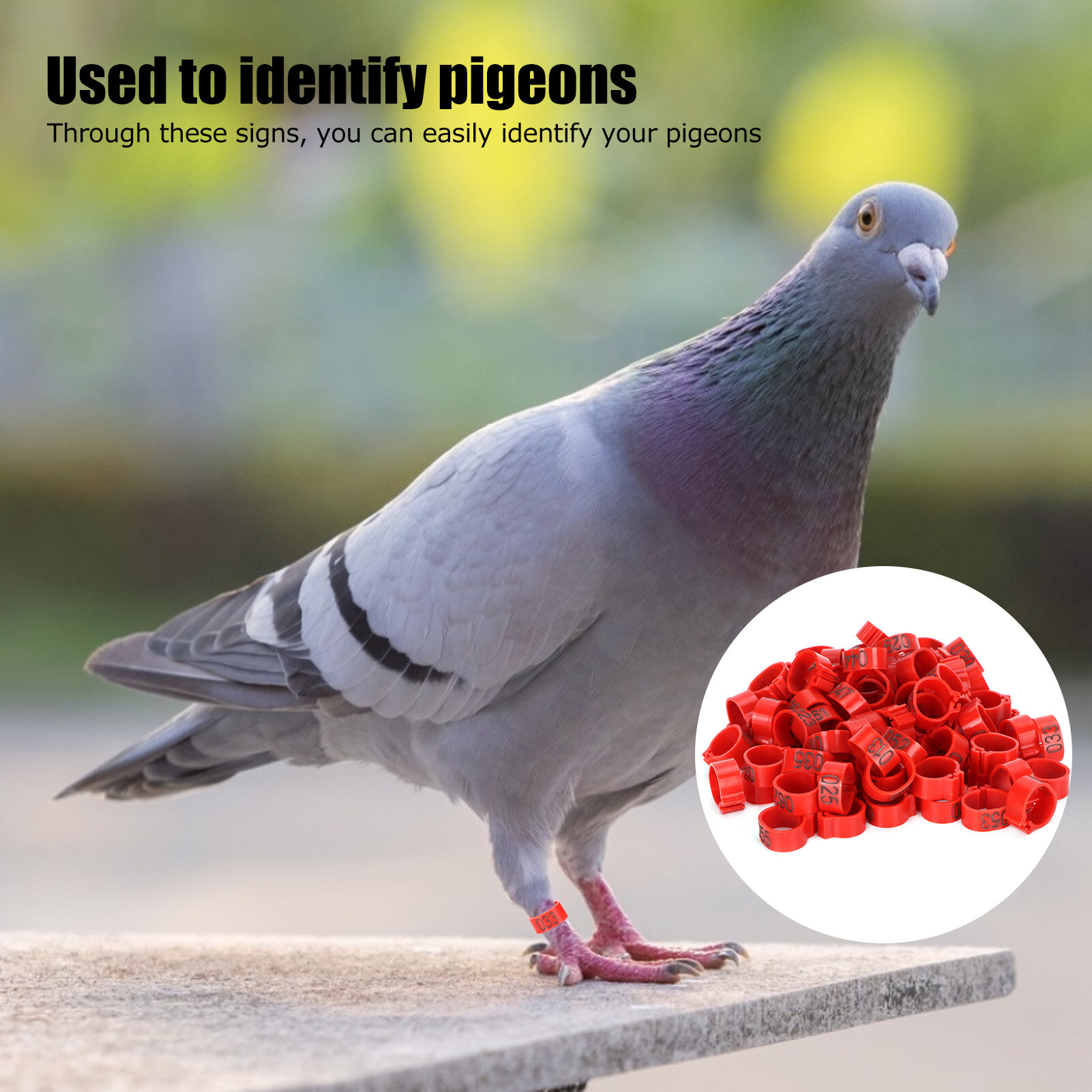 100 шт, кольцо для идентификации голубей, 001-100, пронумерованное кольцо на ногу птицы, повязки на ногу птицы, кольцо на ногу, 10 мм, красное кольцо с номером