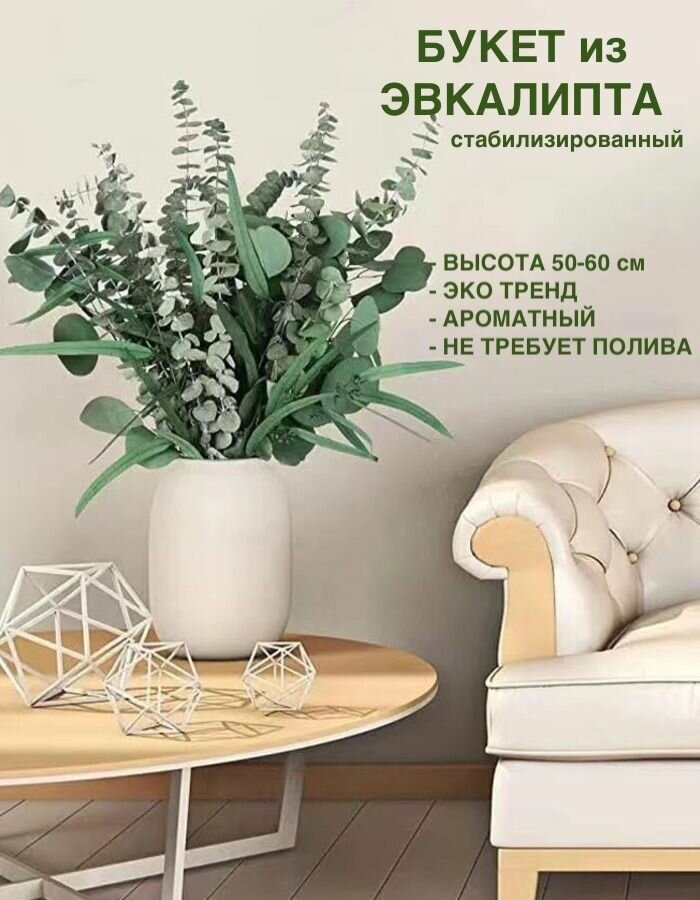 Стабилизированный эвкалипт для декора натуральный сухоцвет с ароматом, долговечный букет для интерьера и подарка