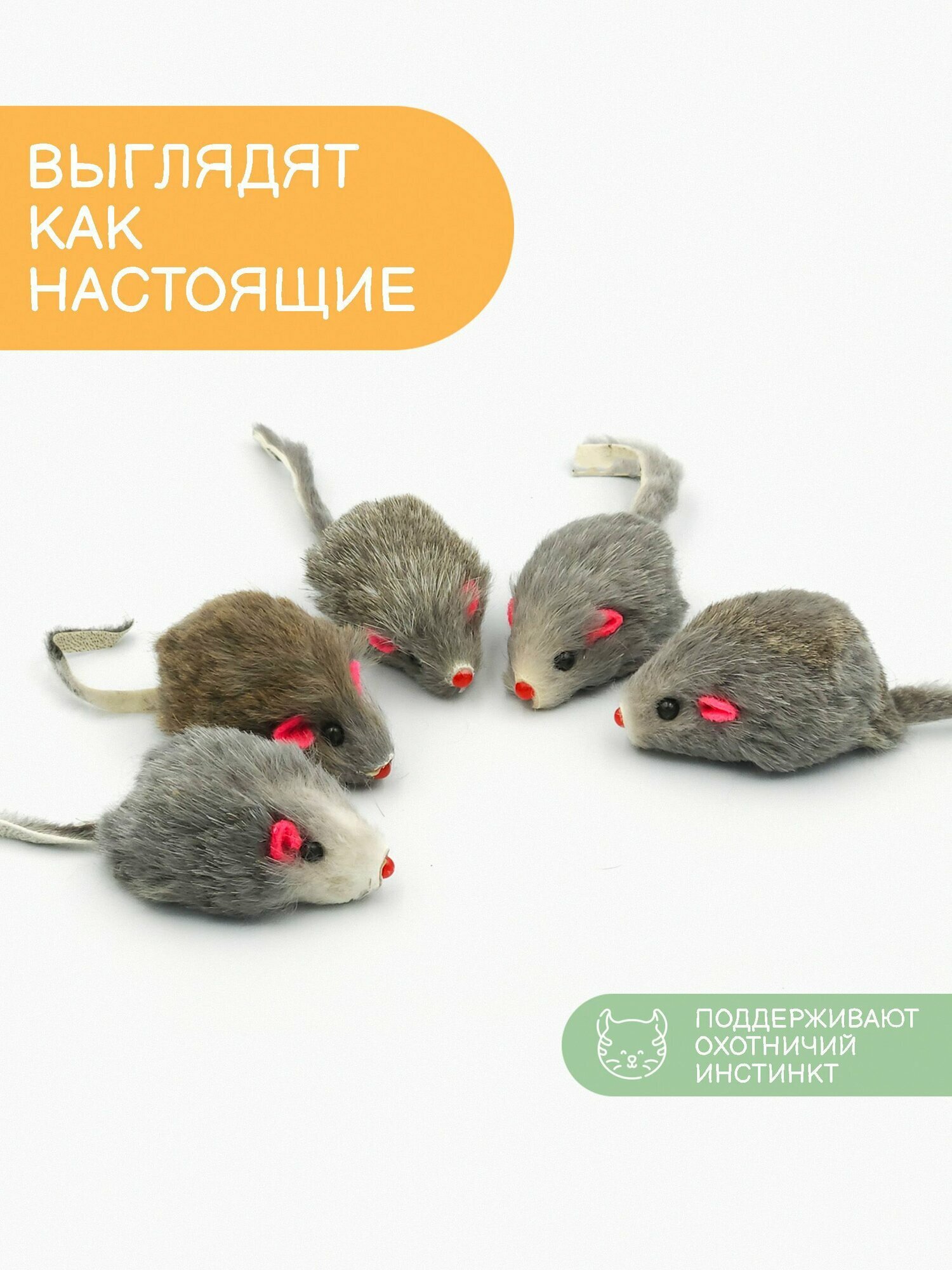 Pet Toy Interactive — фото 1