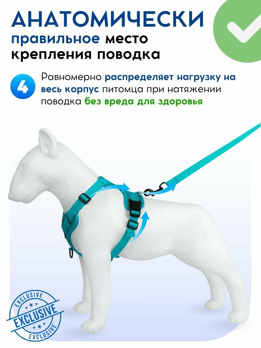 Шлейка — фото 1