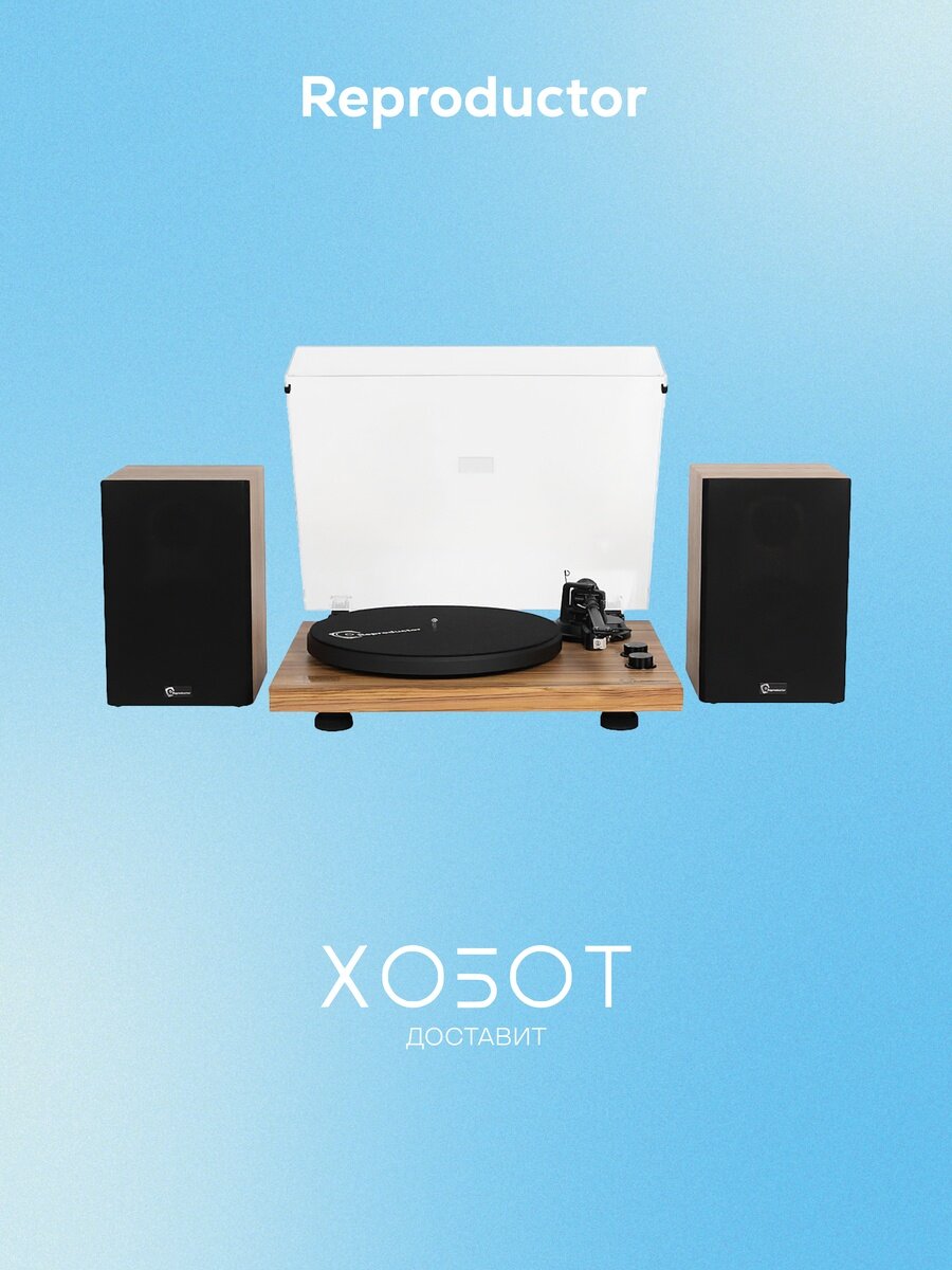 Проигрыватель виниловых пластинок Reproductor RP-LPX500SOK