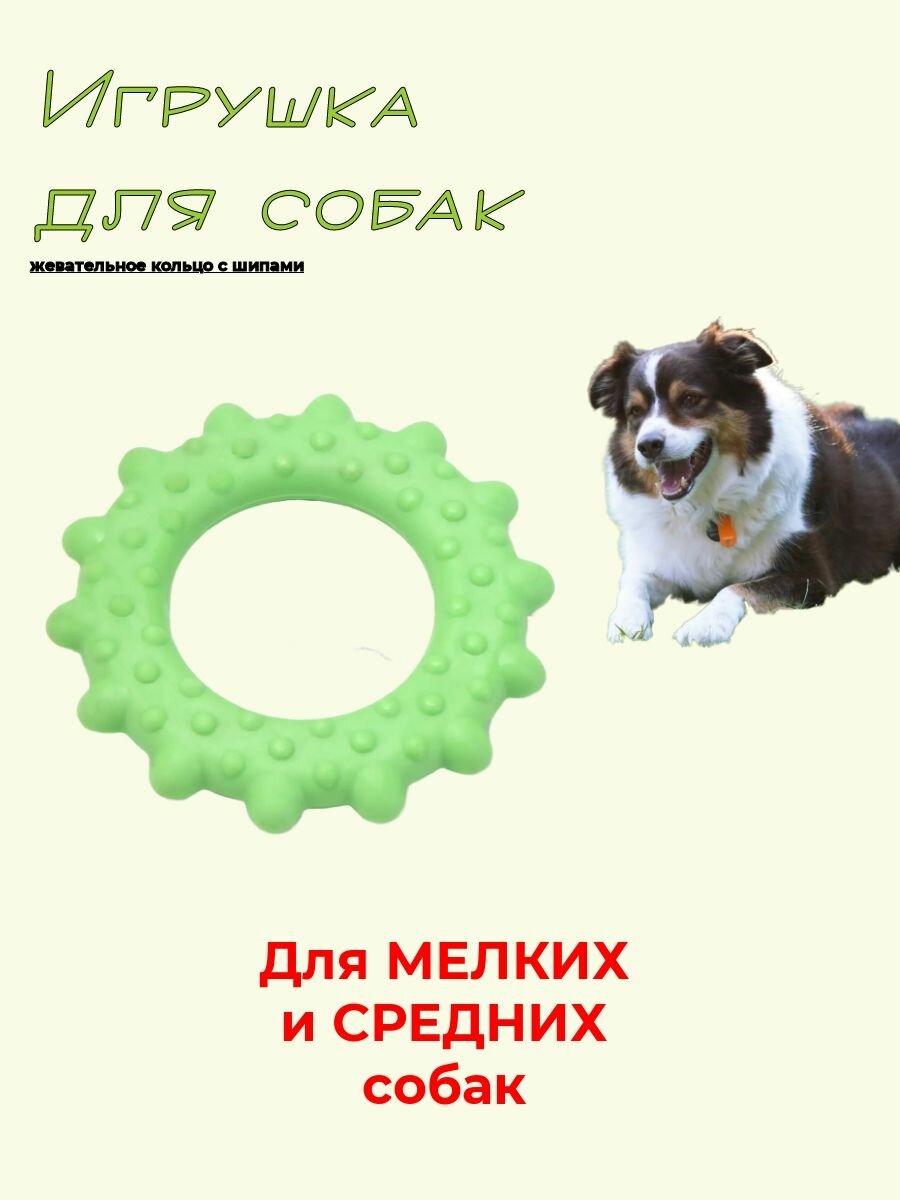 Игрушка "Кольцо с шипами", для собак, термопластичная резина, 8.5 см
