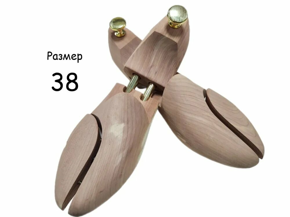 Колодки для обуви