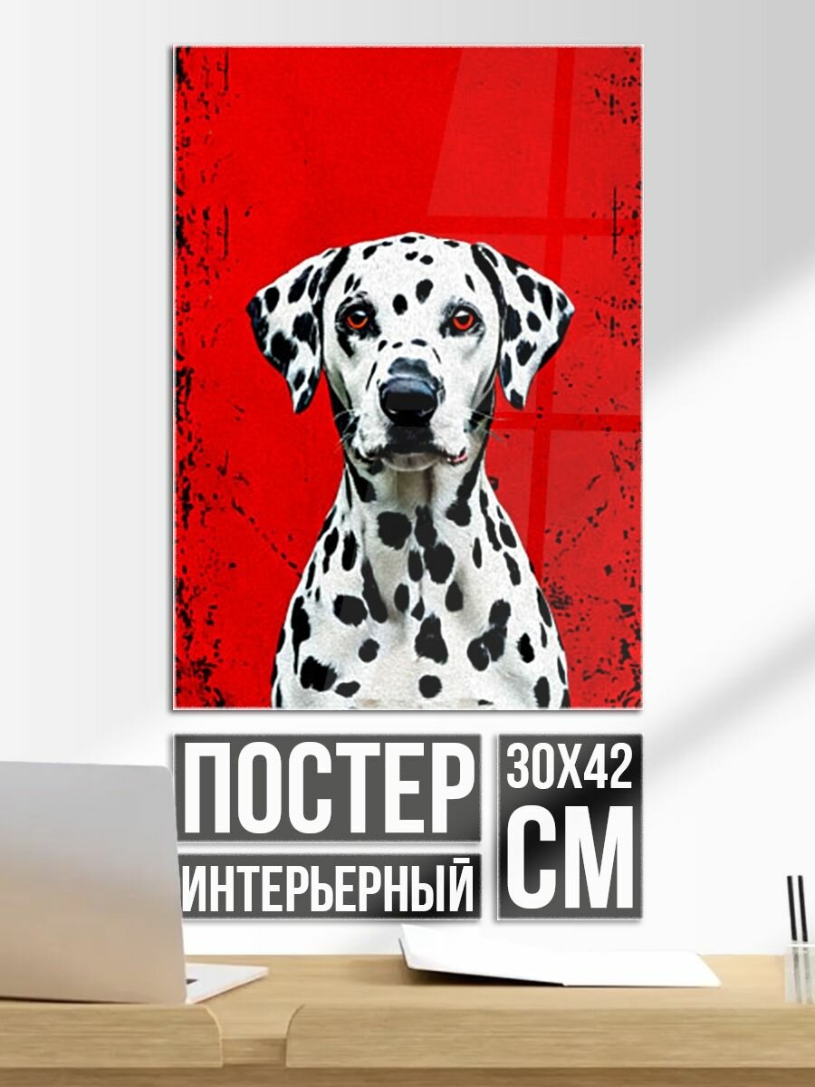 Постер на стену Далматин на черном с красным