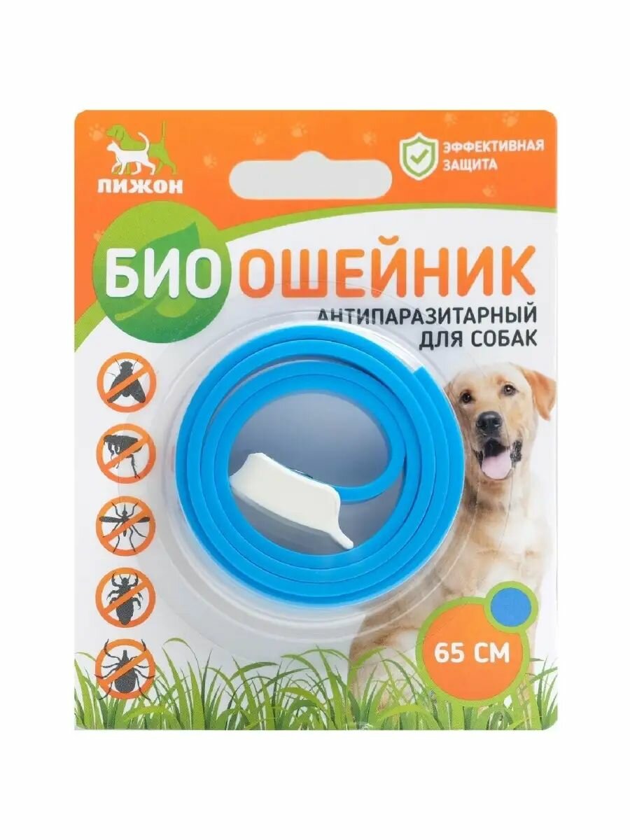 Биоошейник антипаразитарный "пижон" для собак от блох и клещей, синий, 65 см