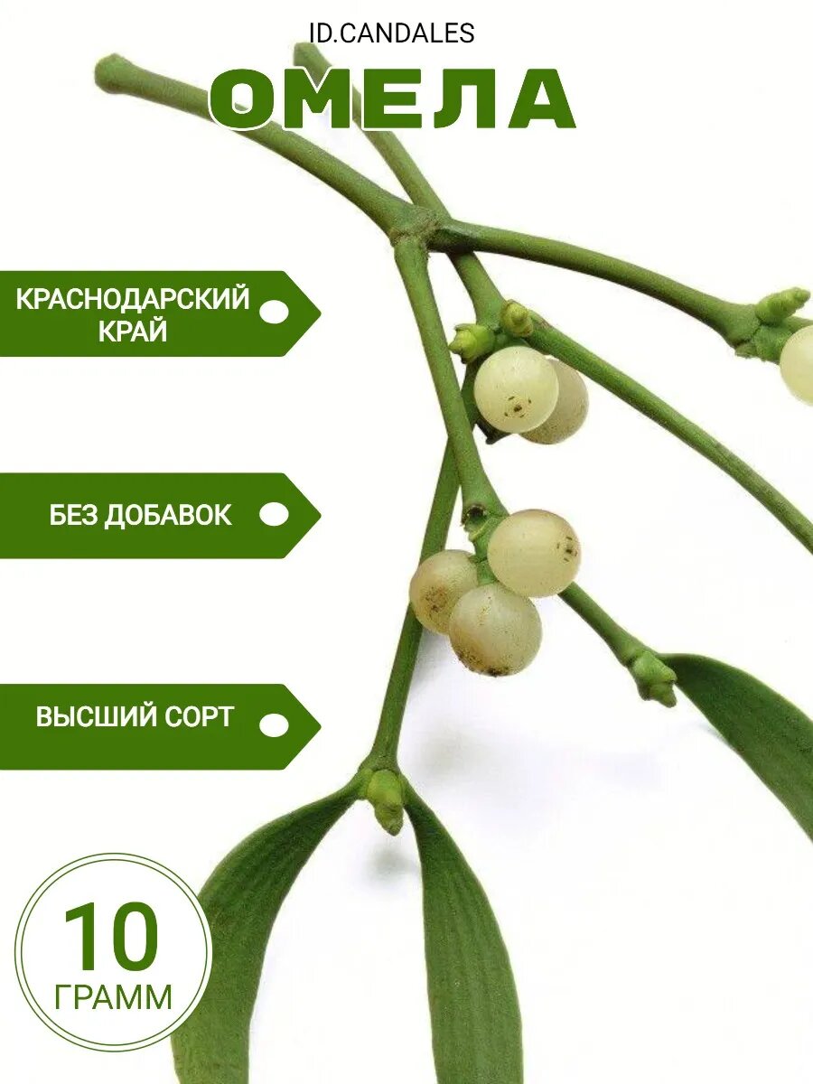 Омела сушеная трава 10гр