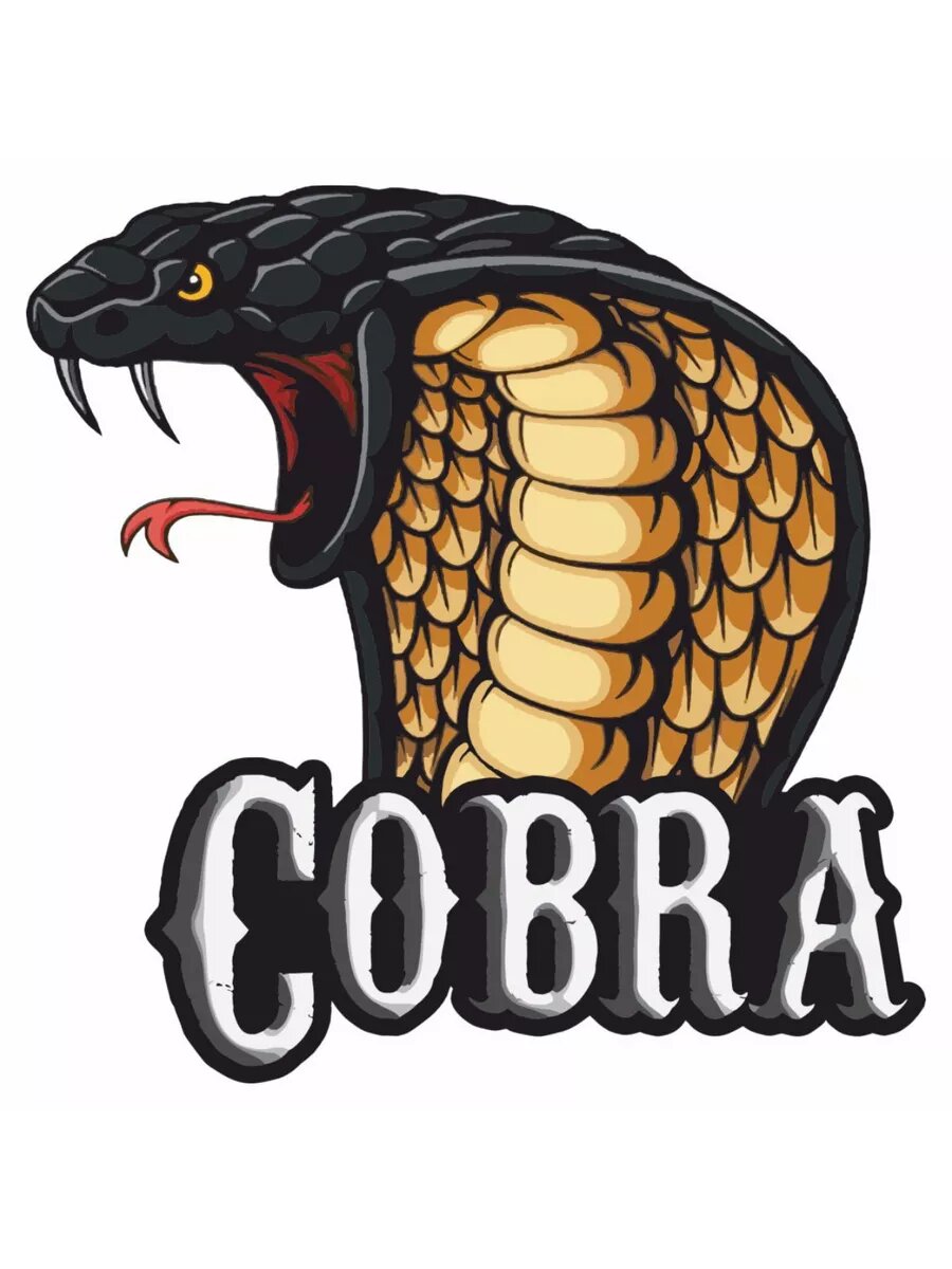 Наклейка "Голова змеи", 150х150мм, вид 7, Арт рэйсинг