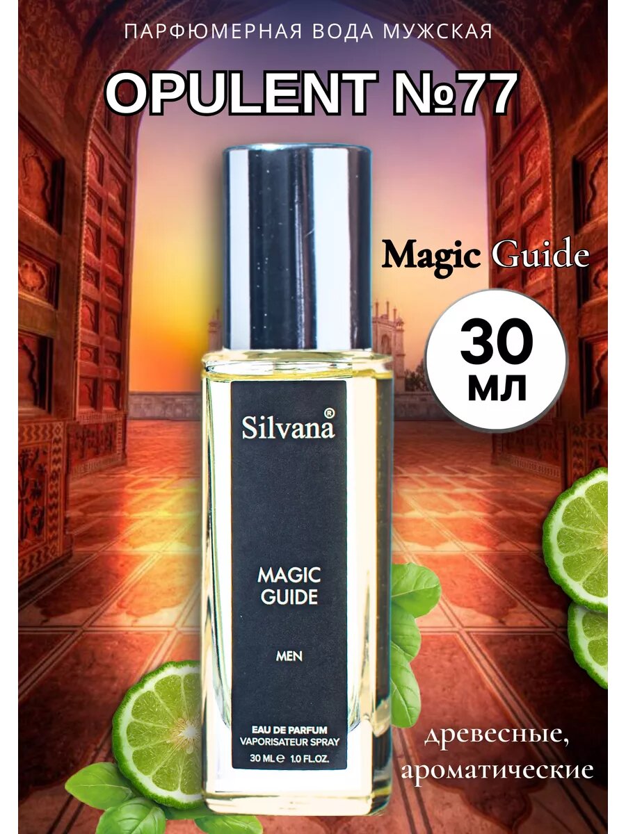 Духи парфюмерная вода № 821 Magic Guide 30 мл Shaik 77