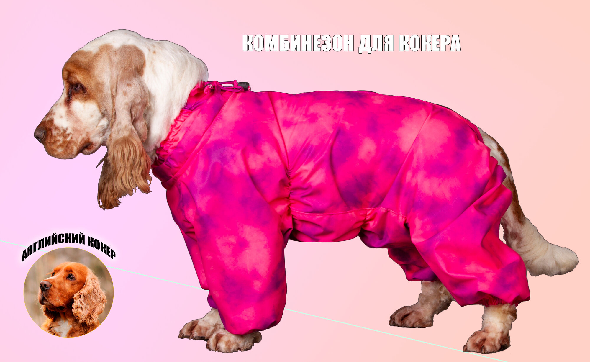Дождевик-комбинезон для английского кокер-спаниеля суки, мембрана, цвет розовый