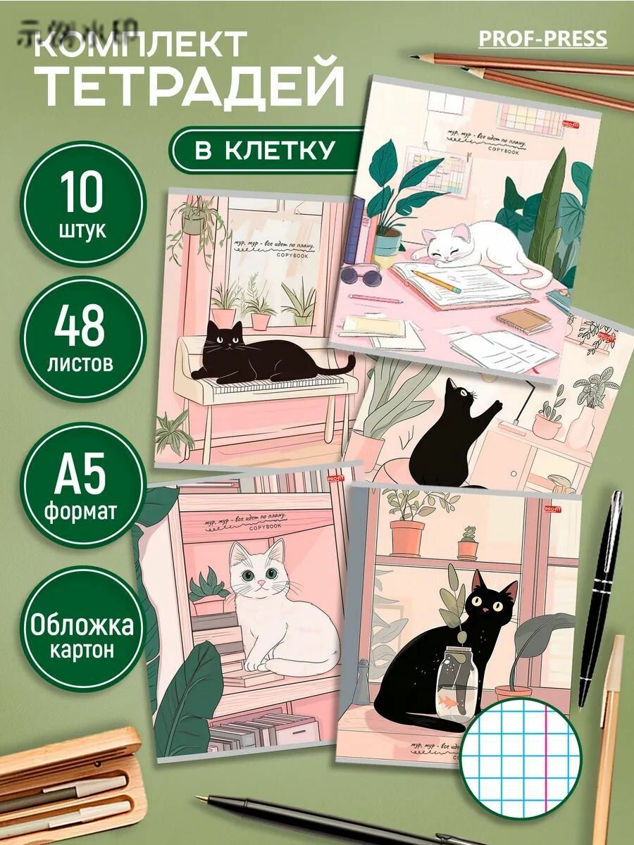 Набор тетрадей, 10 шт, листов: 48
